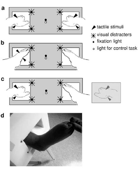 Task Of Experiment A B And Experiment C D A B In Experiment Download Scientific