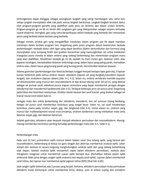 Embriology Of Eye Pdf