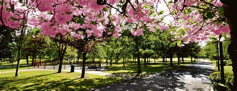 Parks In Sandwell Sandwell Council