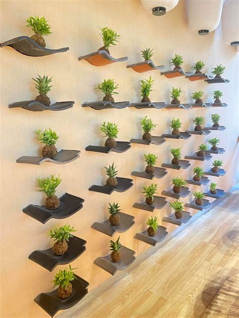 Mendokoro Mitsukoshi Planterior