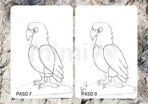 Cómo Dibujar Un Águila Paso A Paso Cómo Mimi Panda