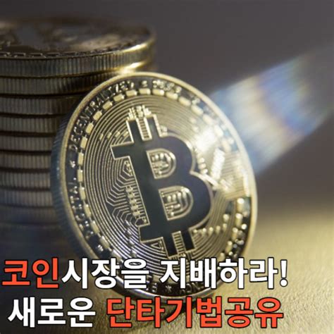 새로운 코인 단타전략