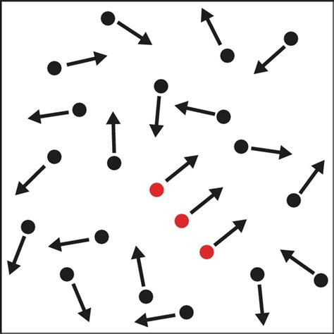 A Diagram Illustrating The Basic Common Fate Stimulus Employed In The
