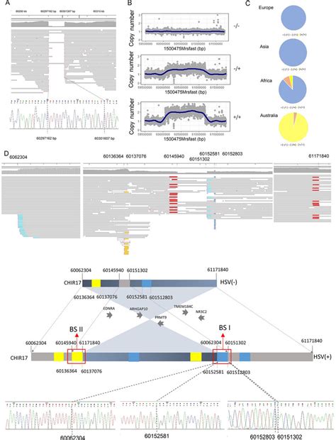 Genomic Structure Of Hsv On Chir17 In Goats A Igv Screenshots Of