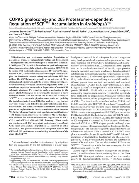 Pdf Cop9 Signalosome And 26s Proteasome Dependent Regulation Of