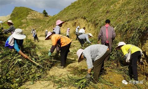 我为群众办实事贞丰龙山村实施以工代赈项目 促茶产业标准化发展 龙场镇