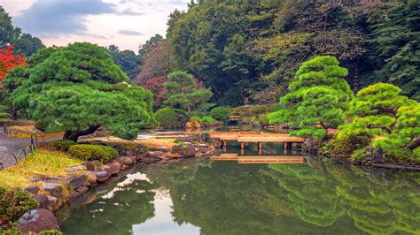 Autumn In The Shinjuku Gyoen Park And Garden Tokyo Japan Windows