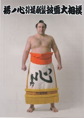 Tochinoshin Retirement Haircut Sumo Official Program Ebay