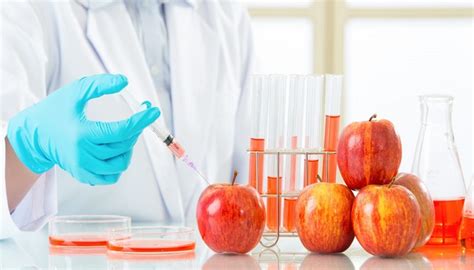 Genetically Modified Organisms Science Of Healthy