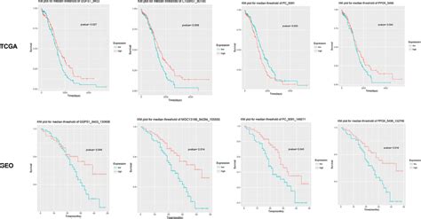 Survival Curve For Four Candidate Genes Closely Related With The Download Scientific Diagram