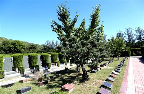 百贯山松陵墓园园区环境怎么样 沈阳百贯山墓园 百贯山墓园服务中心 百贯山陵园