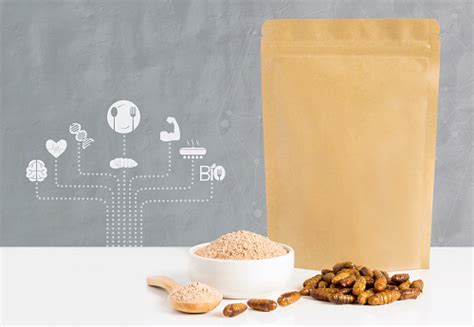 비단 벌레 푸 패 분말 및 미디어 아이콘 밥 그릇에 요리 된 곤충 고기로 만든 음식 패키지 가방과 함께 숟가락으로 먹는 영양 그것은 단백질 식용의 좋은 소스입니다 토