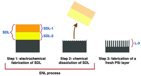 Schematic Of The Fabrication Of A Controlled Porous Layer Using The Download Scientific Diagram