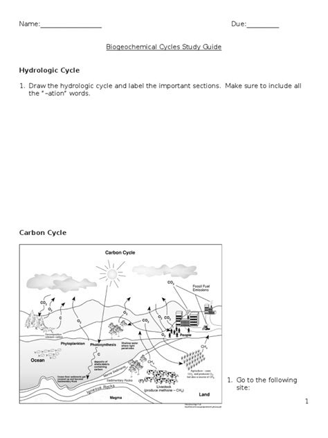 Biogeochemical Cycles Review Worksheet 13 Printable Pdf Template