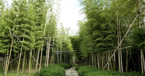 폐공장 되살린 ‘f1963… 부산 1호 민간정원 선정