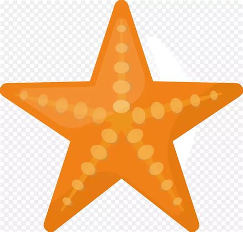 卡通海星矢量图下载png图片素材下载图片编号7400131 Png素材网