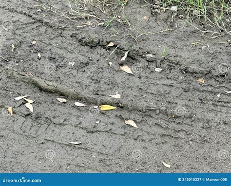 Wheel Track On The Ground Stock Image Image Of Nature 345015327
