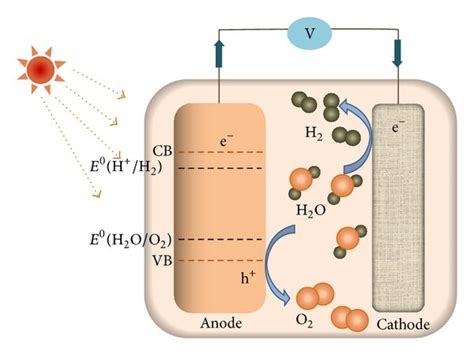 Photoelectrochemical Water Splitting Cell Based On N Type Semiconductor Download Scientific