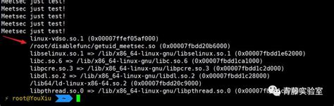 青藤云安全研究绕过php的disable functions 上篇 知乎