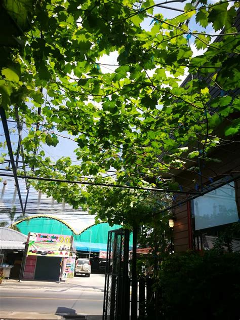 เป็นโรงคั่วกาแฟ โรงคั่วกาแฟโอ่งดินเผาซาไกคอฟฟี่ Facebook