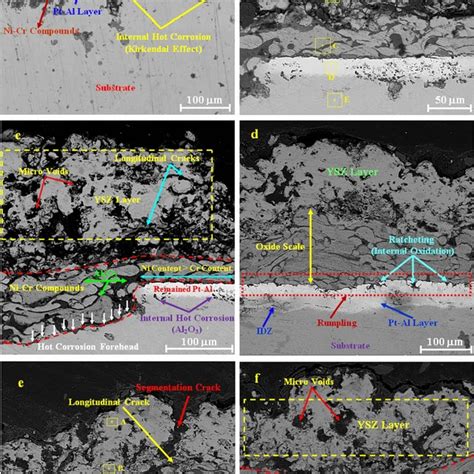 Fe Sem Surface Micrograph Of Ptalysz Coating Download Scientific