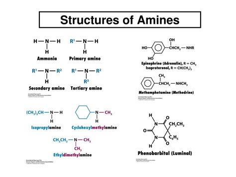 Ppt Organic Chemistry Powerpoint Presentation Free Download Id59743