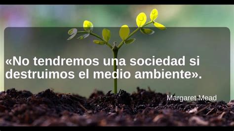 Frases Motivacionales Medio Ambiente ~ Frases Motivacionales