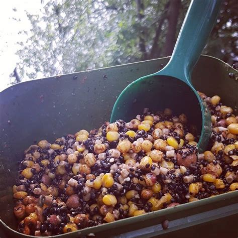 Top 10 Best Spod Mix Recipes - The Carp Hideout in 2020 | Carp fishing ...