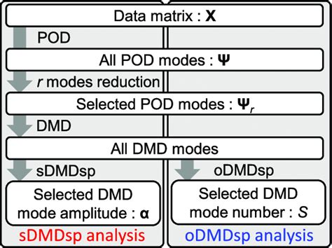 data matrix processing procedure for sdmdsp and odmdsp download scientific diagram