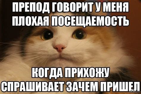 Парадокс | Пикабу