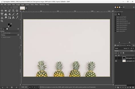 Methods How To Remove Background In GIMP