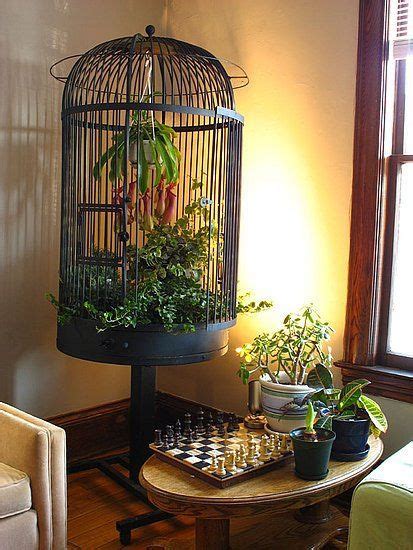 Bird Cage Garden Bird Cage Decor Bird Cage Vintage Bird Cage