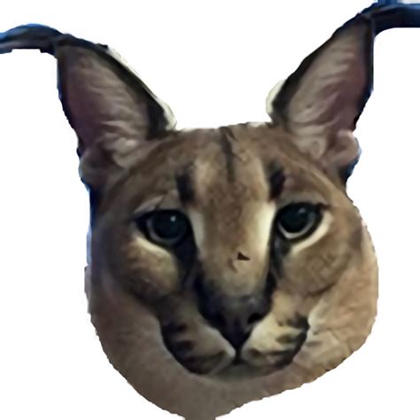 You Know What To Do R Chadposting