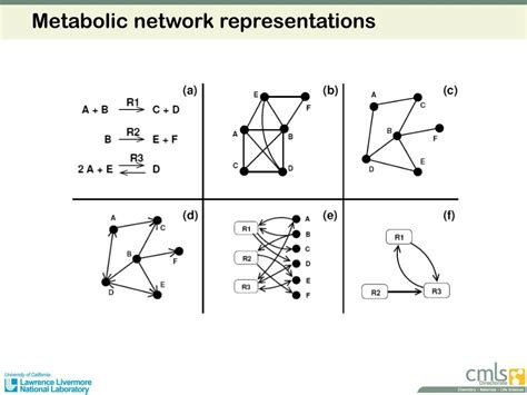 Ppt Cellular Metabolic Network Modeling Powerpoint Presentation Free
