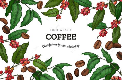 Coffee Beans Engraved Background Template Download On Pngtree