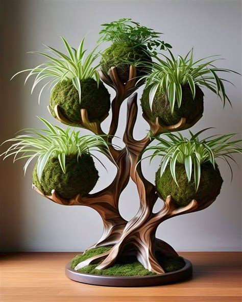 Spider Plant Kokedama House Plants Plant Decor Plant Decor Indoor