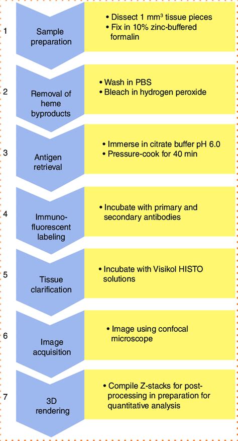 Pbs Buffer Recipe For Cell Culture Protocol Bryont Blog Pbs Buffer Recipe For Cell Culture Protocol Bryont Blog
