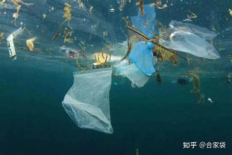 第五届联合国环境大会召开！全面推进海洋垃圾和塑料污染治理！ 知乎