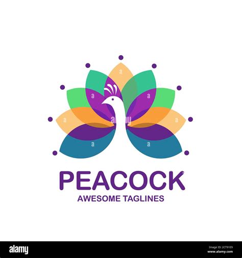 Creative Simple Colorful Peacock Logo Design Vector Stock Vector Image And Art Alamy