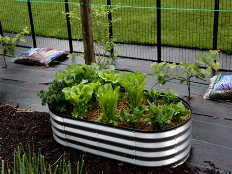 How To Make A New Raised Bed Garden Danis Midlife Homestead