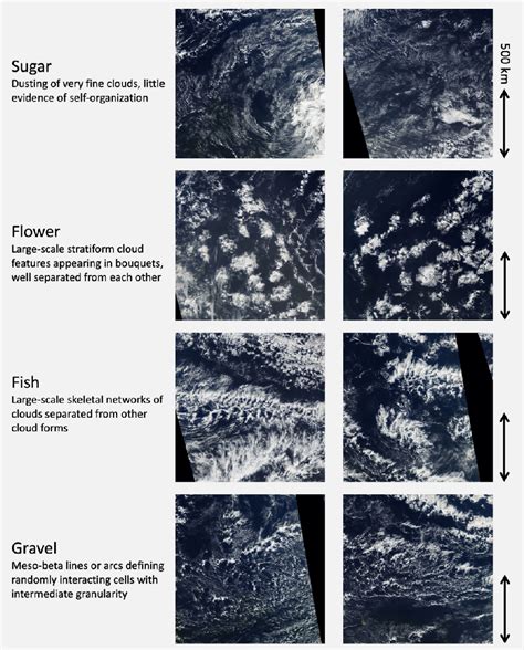 Figure 2 From A Primer On Topological Data Analysis To Support Image