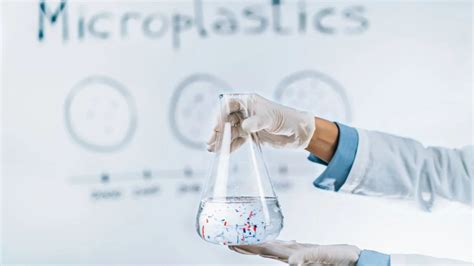 How To Remove Microplastics From Your Body Practical Methods And Tips