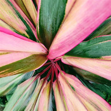 Autism Hand Posturing Causes Types And Management Apex Aba Therapy