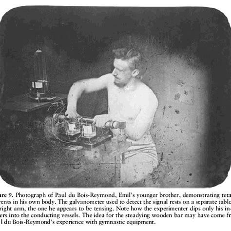 Einthoven String Galvanometer London Science Museum Download