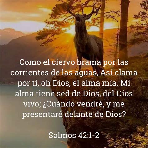 Salmos 42 1 2 Como El Ciervo Brama Por Las Corrientes De Las Aguas Así