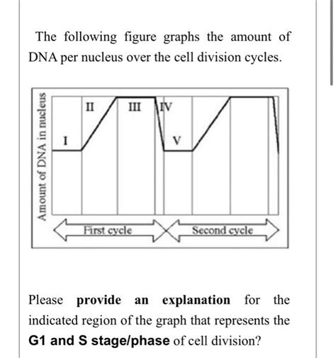 Solved The Following Figure Graphs The Amount Of Dna Per