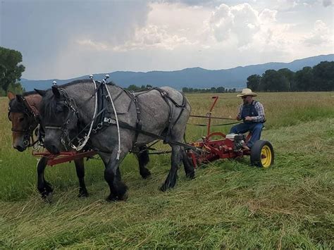 Rocking R Lazy T Drafts