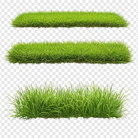 Front Designs Pictures Of Grass