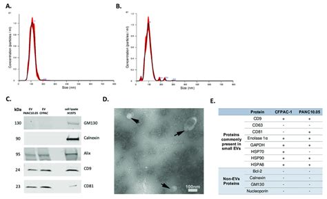 Characterization Of Evs Isolated From Ccms Representative Nta
