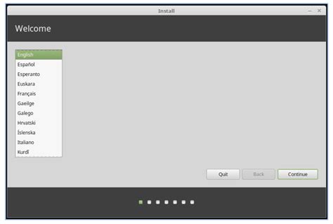 linux mint setup guide support
